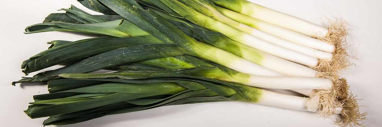 Leek Seeds Canada | Seedfully