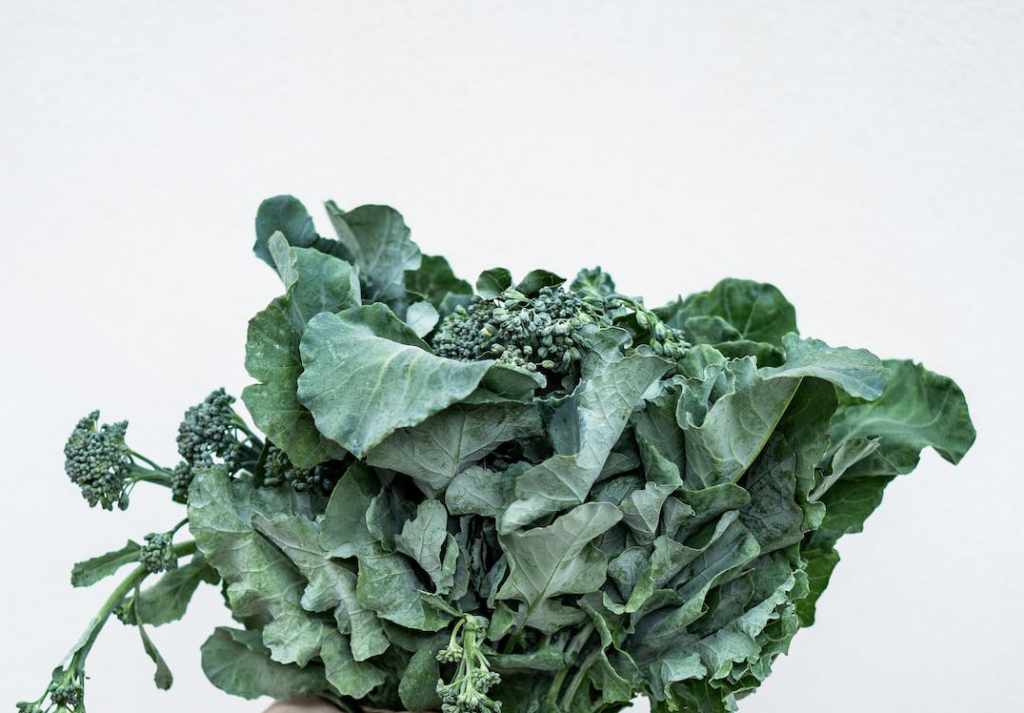 Rapini Seeds Canada | Seedfully